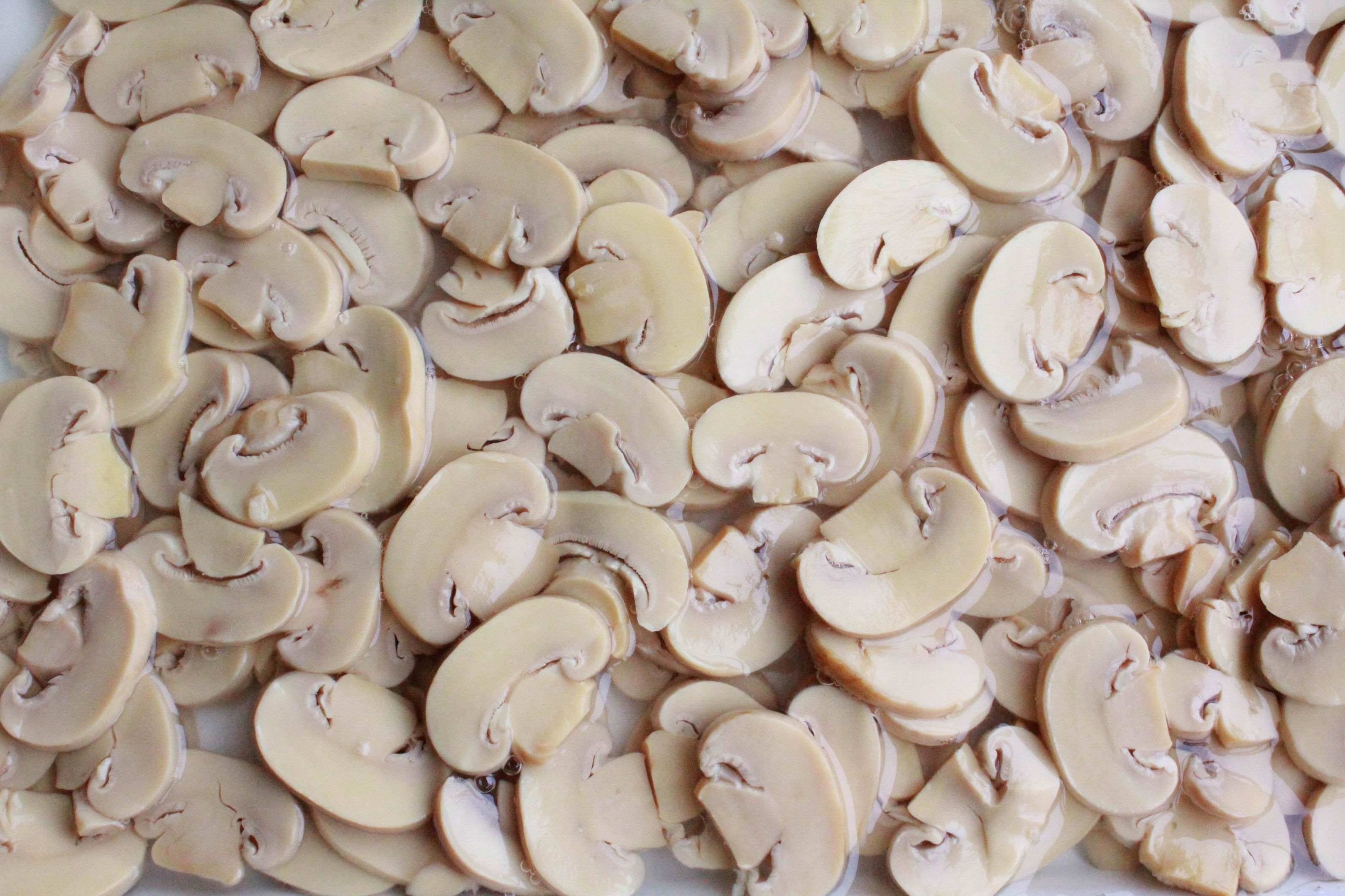 No Impurity Canned Sliced Mushrooms / Pickled Mushrooms Canning Typical ...